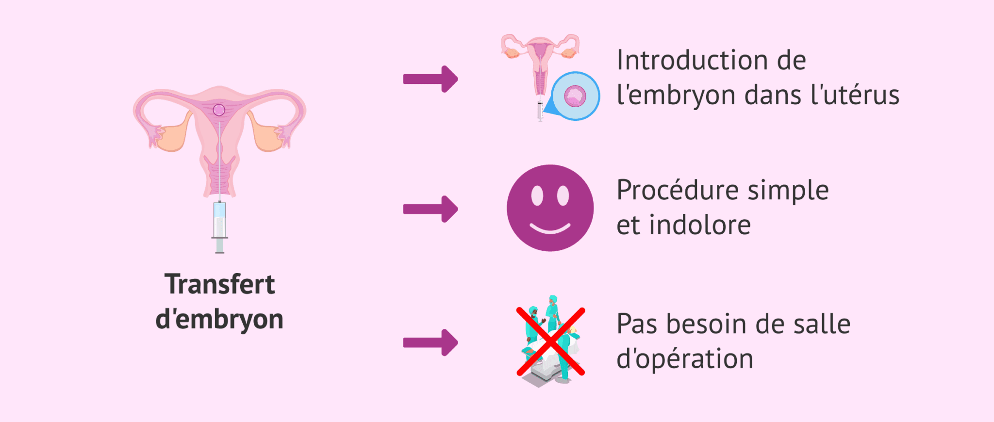 Caractéristiques du transfert d'embryons