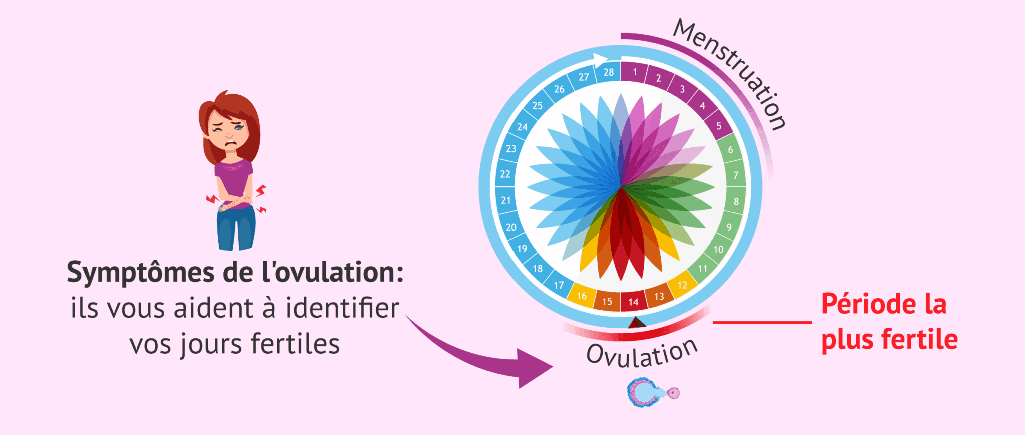 Symptômes de l'ovulation permettant de détecter les jours fertiles